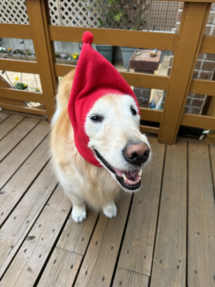 足底筋膜炎 : JUNKLAND