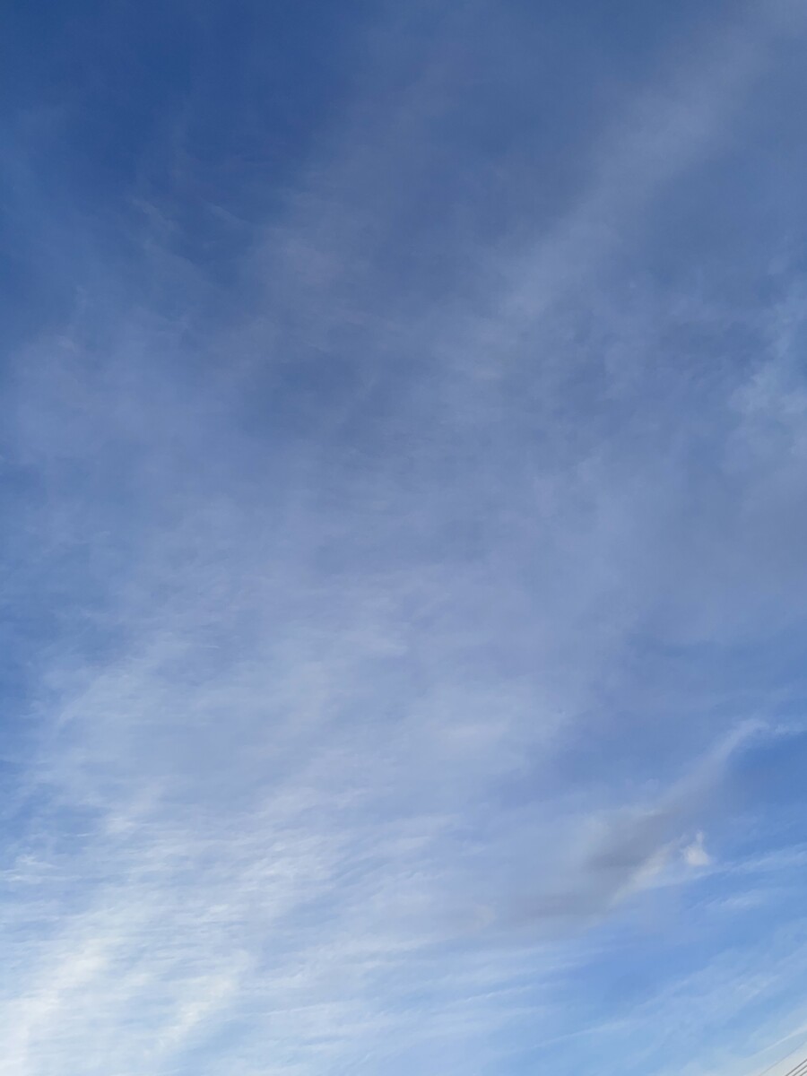 8月最後♪ : JUNKLAND