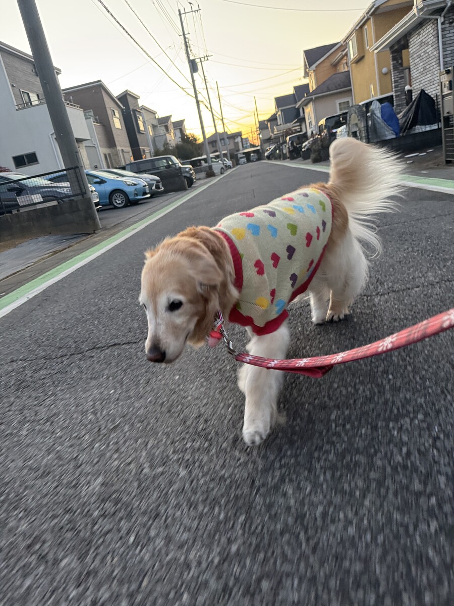 みんなおめでとう💛 : JUNKLAND