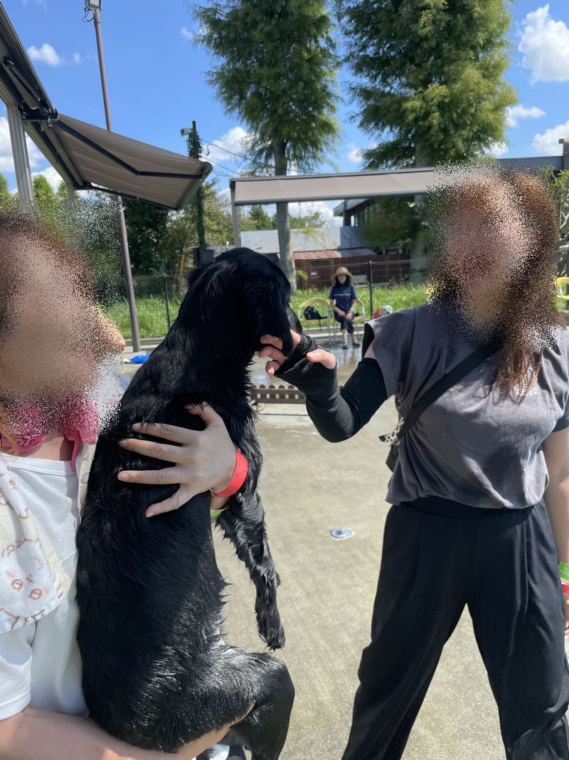 ワンダフルネイチャーヴィレッジ② : JUNKLAND