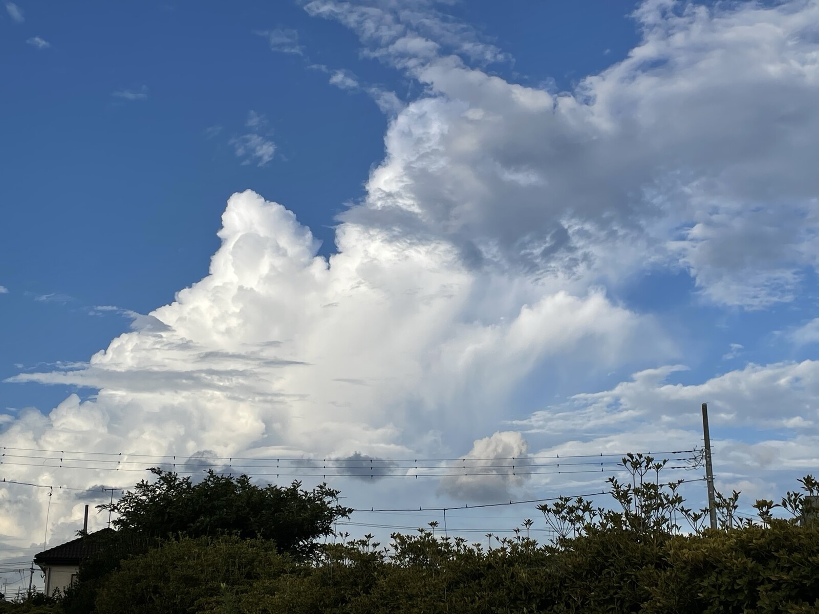 2023年08月07日 : JUNKLAND