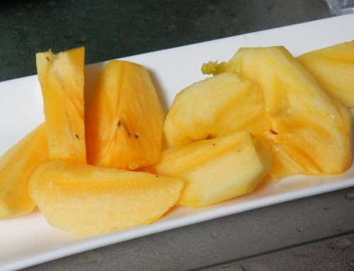 懐かしい毛虫遊び : 種子島のブログ