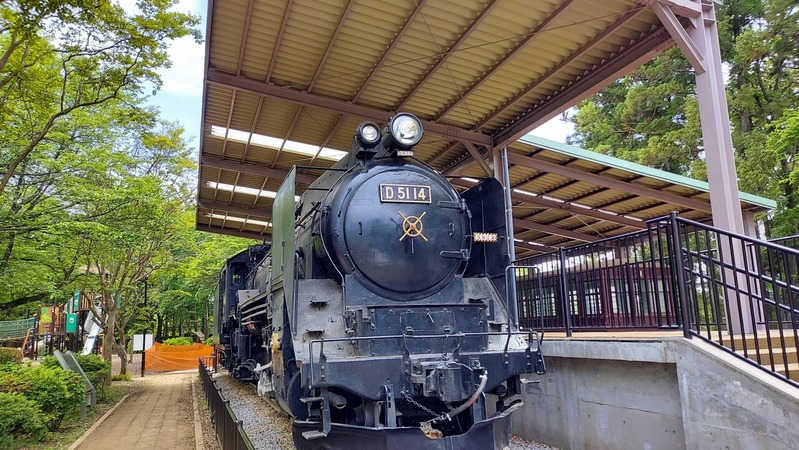 「流山市総合運動公園」に保存されている「蒸気機関車D51 14号機・流山鉄道キハ31」を撮影してきた : 柏の葉サイクルライフ