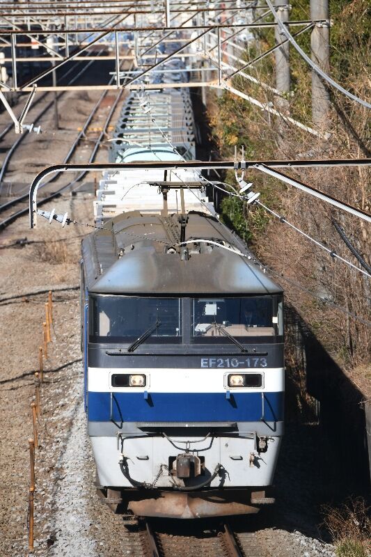 1/17 EF65＆EF66カモレ : kakuekiteisya18のblog