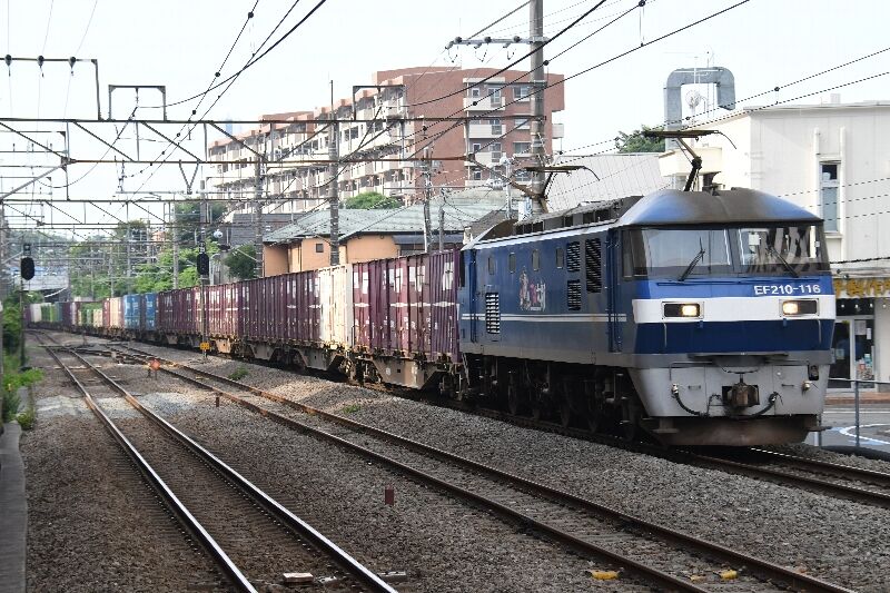 6/8 カンガルーライナー＆福通など : kakuekiteisya18のblog