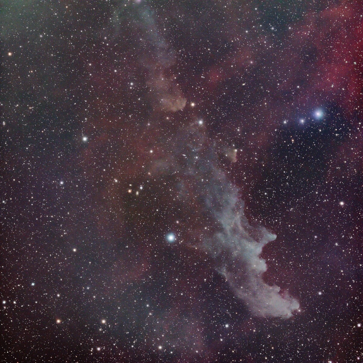 IC2118魔女の横顔星雲(再処理) : 天体撮影と色々