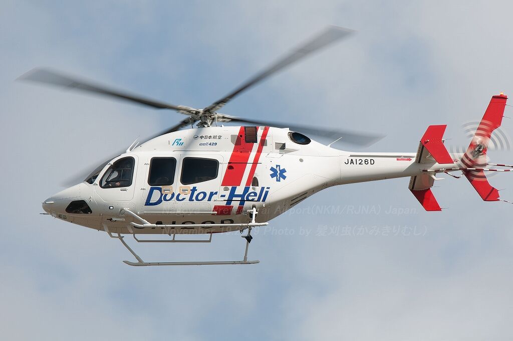 11月19日（火） 県営名古屋空港 : 小牧基地横の県営名古屋飛行場 by髪刈虫(かみきりむし）