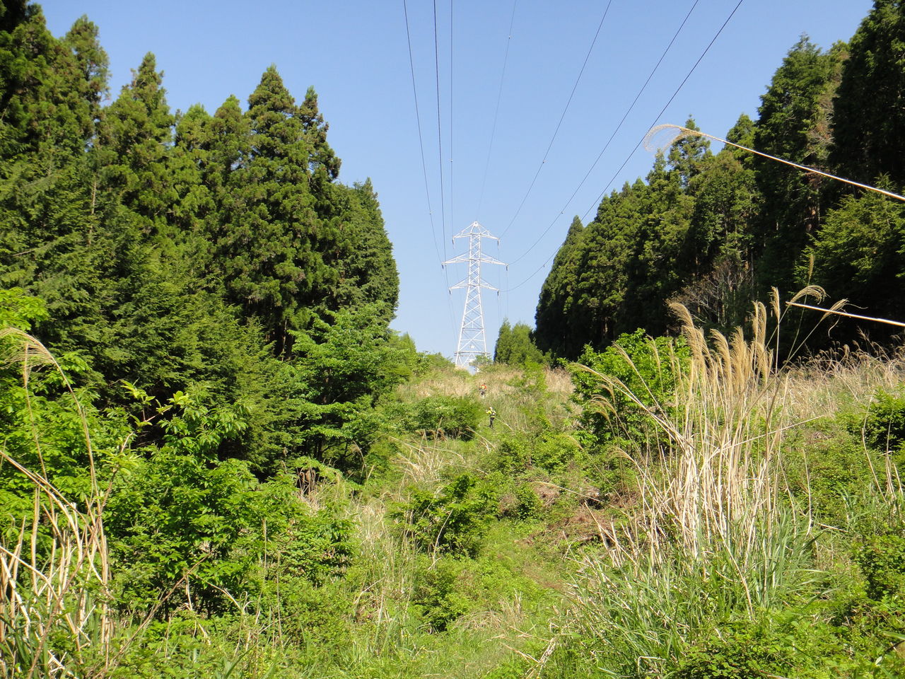 kamipack blog : UTMF2013当選