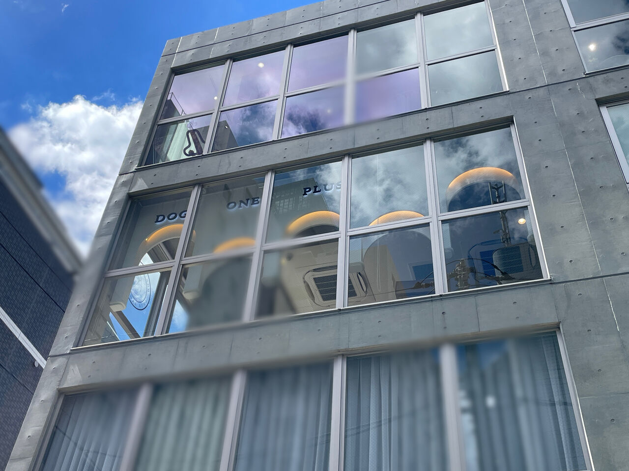 西新宿に『DOG ONE PLUS 西新宿店（ドッグワンプラス）』なるドッグサロンがオープンするらしい。 : しんじゅく通信 - 東京都新宿区 ...
