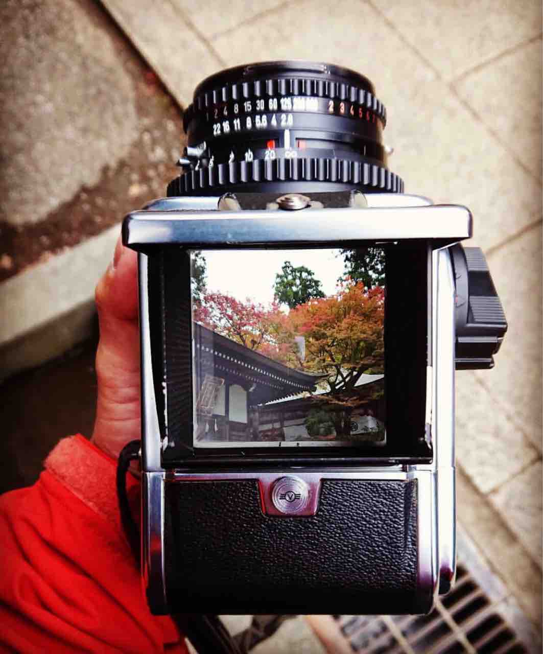 何度でも : KantoCamera