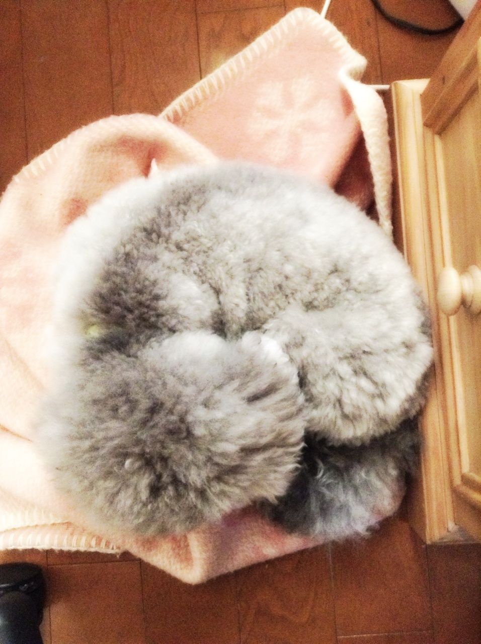 2013年10月 : Torico-lore