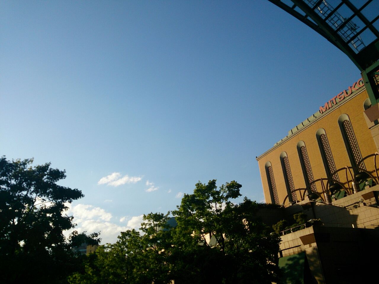 クローバーtrefle : Torico-lore