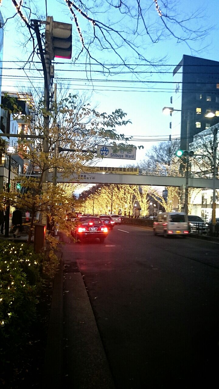 クローバーtrefle : Torico-lore