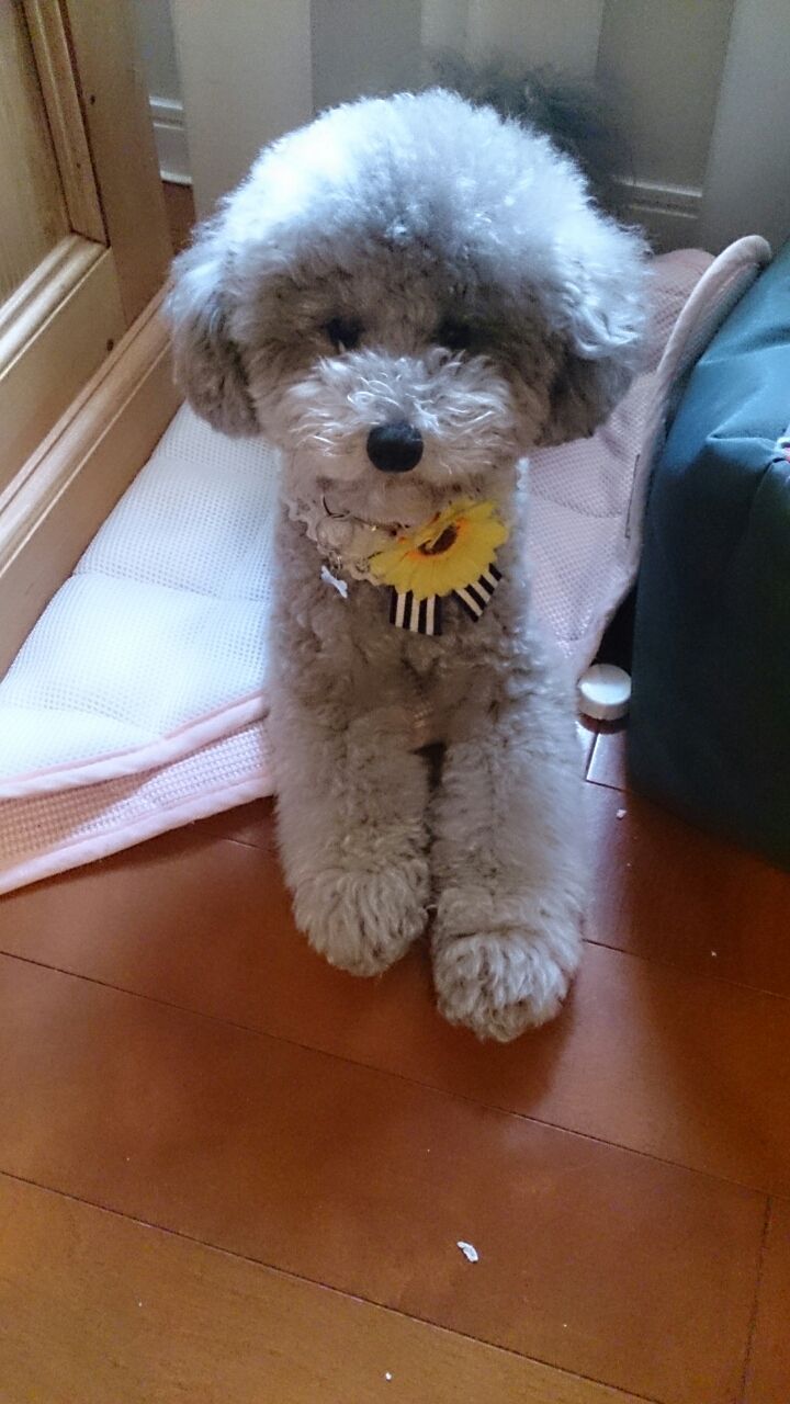 2013年08月 : Torico-lore