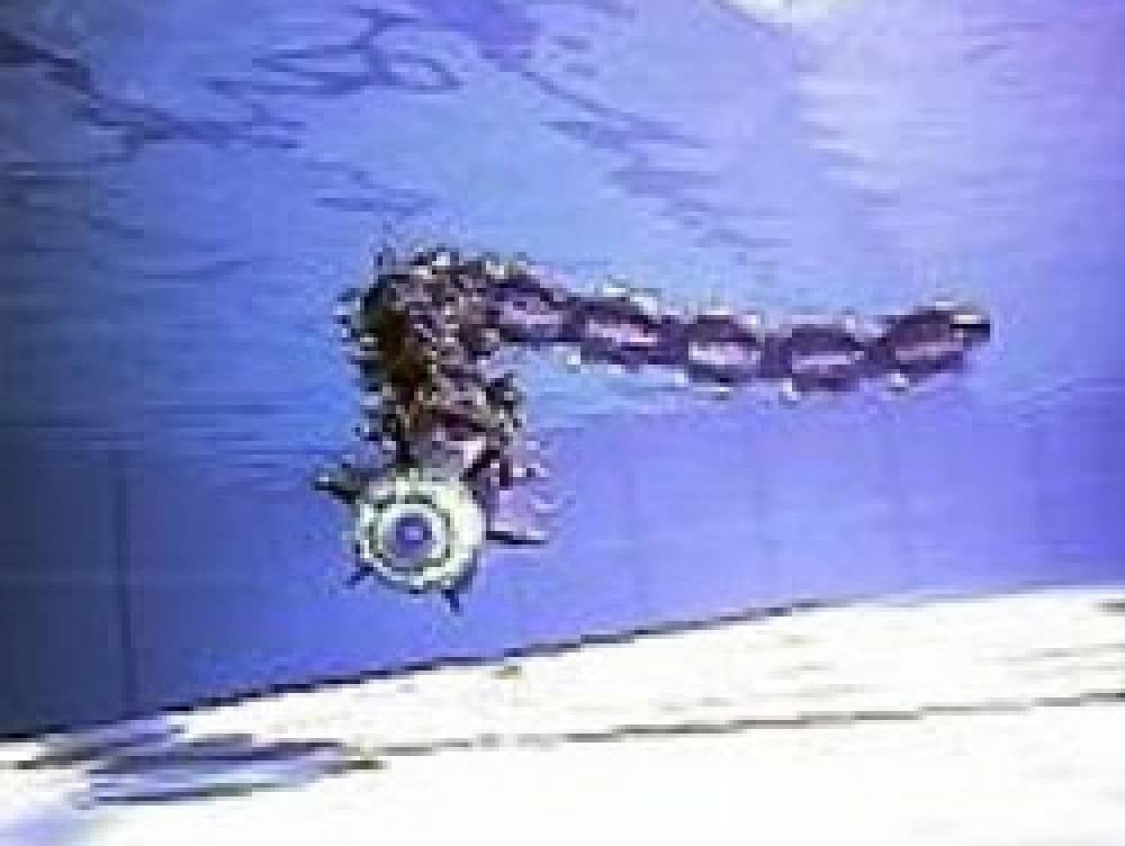 水中スカイネットと絶賛されている日本発のヘビロボット「HiBot ACM-R5」、ハリウッドのプールでクネクネを披露 : カラパイア