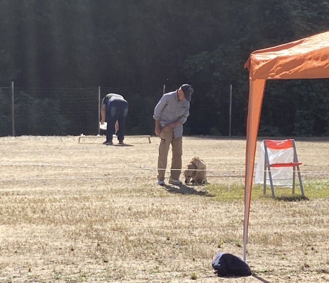 岡山県訓練チャンピオン決定競技会 2022年10月2日 : 犬と海
