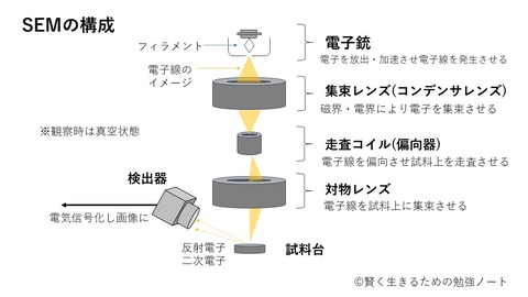 【走査型電子顕微鏡】SEMの操作方法と各種操作の原理 : 賢く生きるための勉強ノート