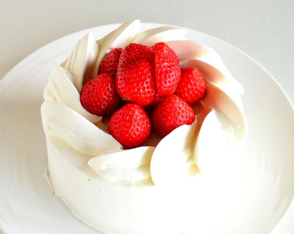 レストランKASYO ブログ:2024年11月