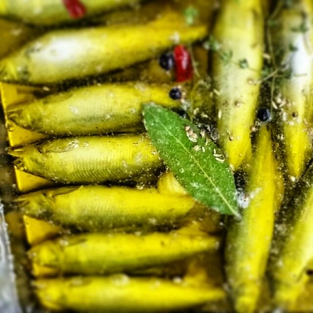 レストランKASYO ブログ:鮎