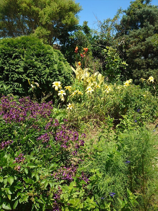 2021/7/22 九十九里へイワシのゴマ漬けを買いに : 祇園からお江戸にノボル (山行・温泉 開放備忘録)