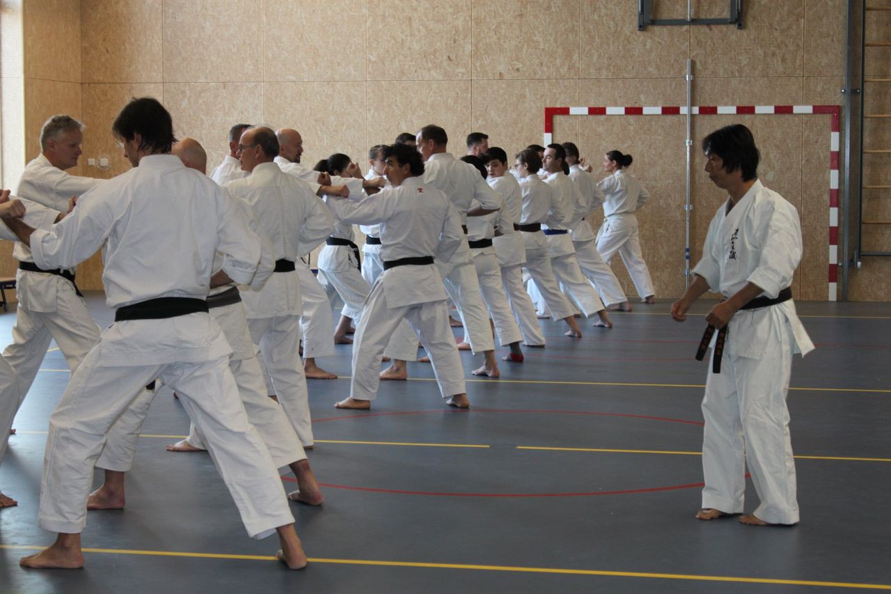 ヨーロッパにおける沖縄首里手の普及の兆し Okinawan Shurite history will be starting. : 瞬撃手の ...