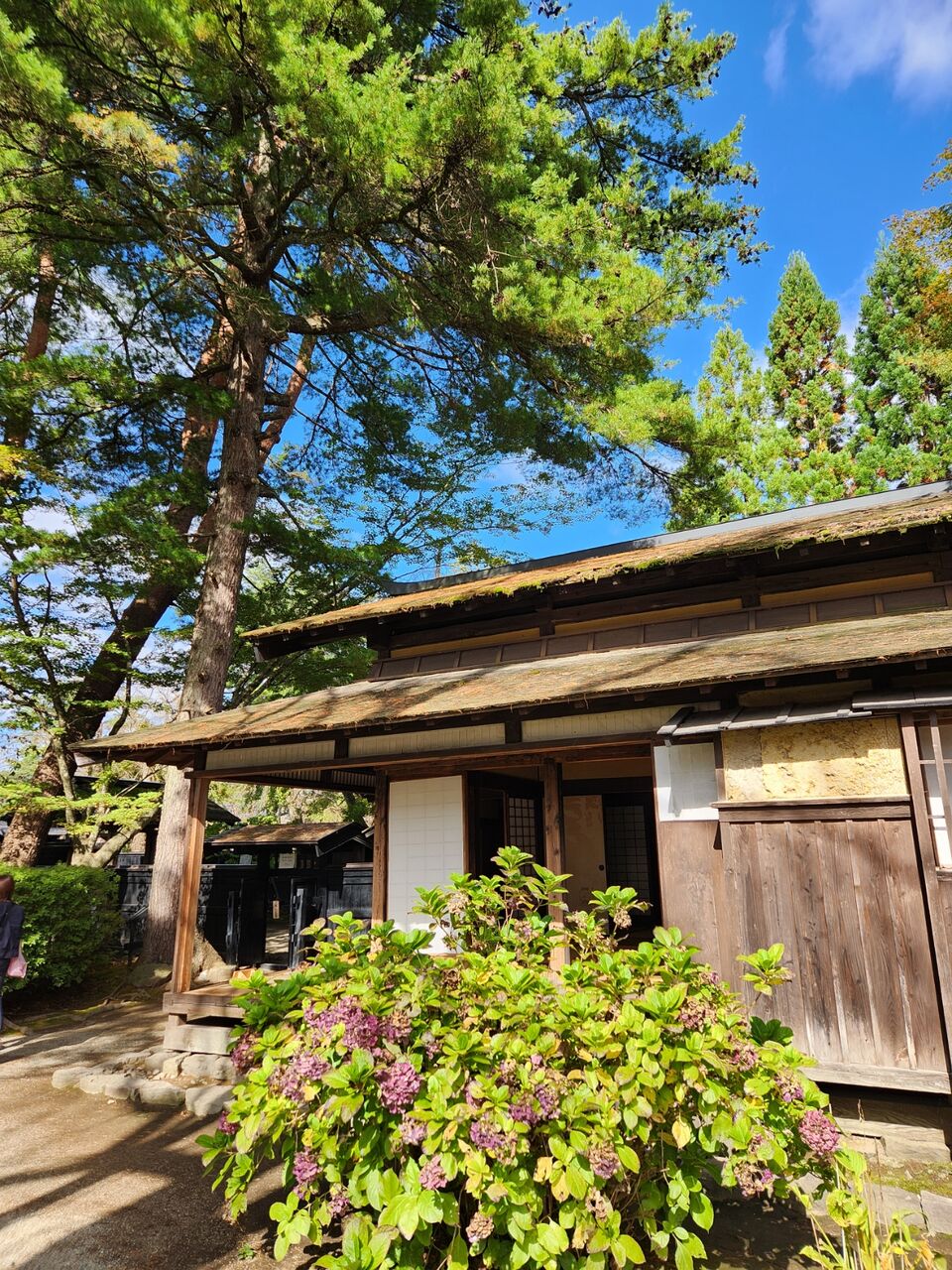 続・あぶろぐ:2024年紅葉乗り鉄の旅（その1・角館プチ観光）