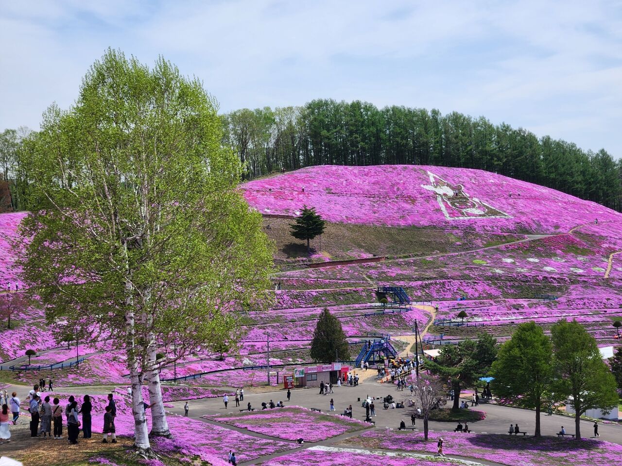 続・あぶろぐ:2025年5月北海道の旅（その3・釧網本線と網走周辺ドライブ）