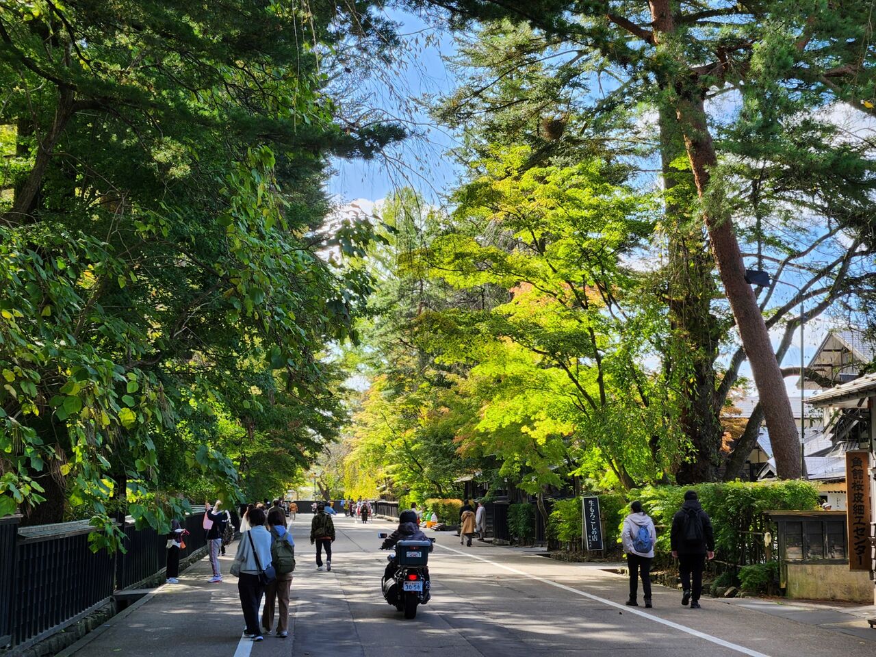続・あぶろぐ:2024年紅葉乗り鉄の旅（その1・角館プチ観光）