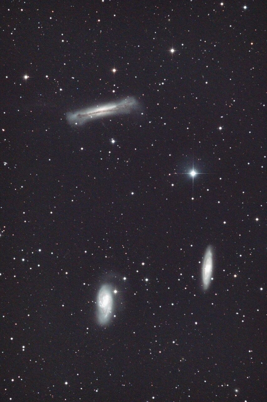 しし座のトリオ銀河（M65＆M66＆NGC3628） : のぼうの星