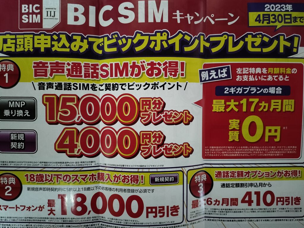 keitaikid : 【BIC SIM】新規で4,000ポイント 「データSIM」契約の注意点