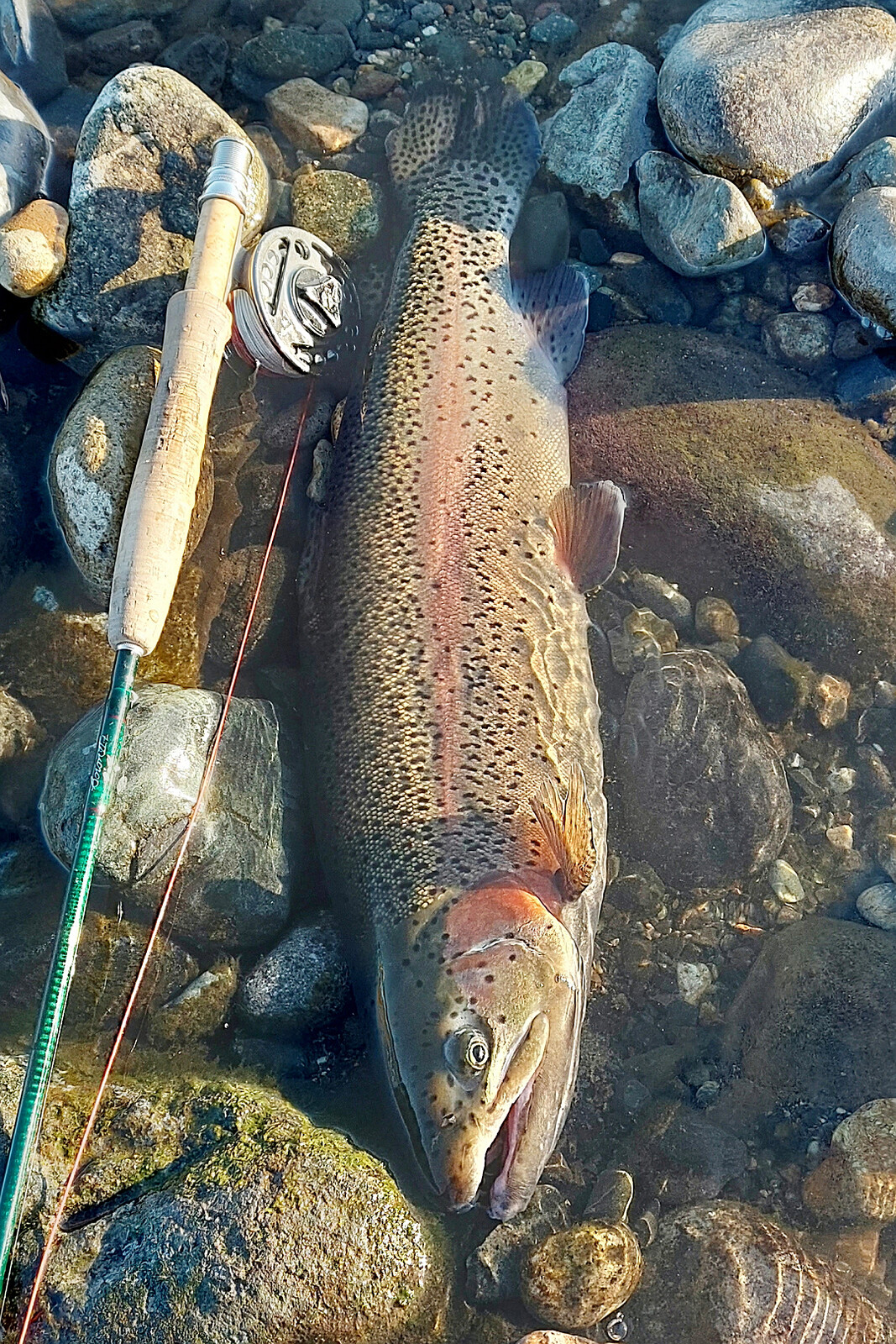 フライマンの詩:利根川冬季釣り場 2022-① - livedoor Blog（ブログ）