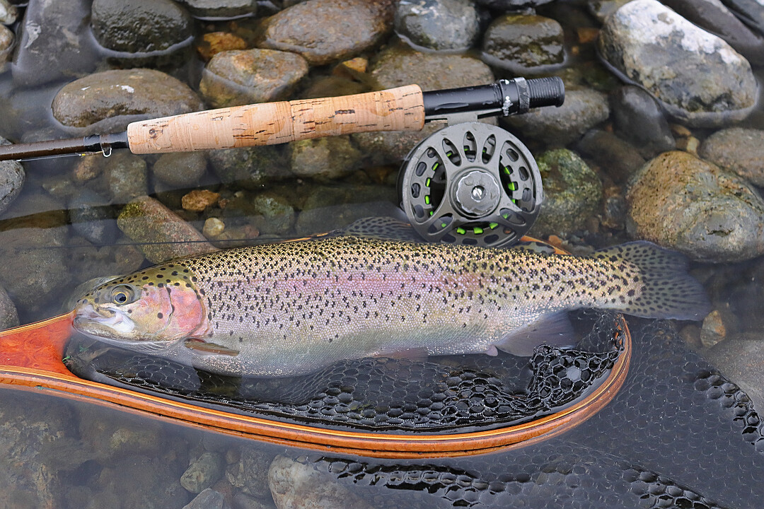 フライマンの詩:渡良瀬川冬季釣2024⑪ - livedoor Blog（ブログ）