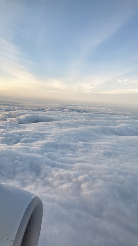 8月28日 : のんこのblog