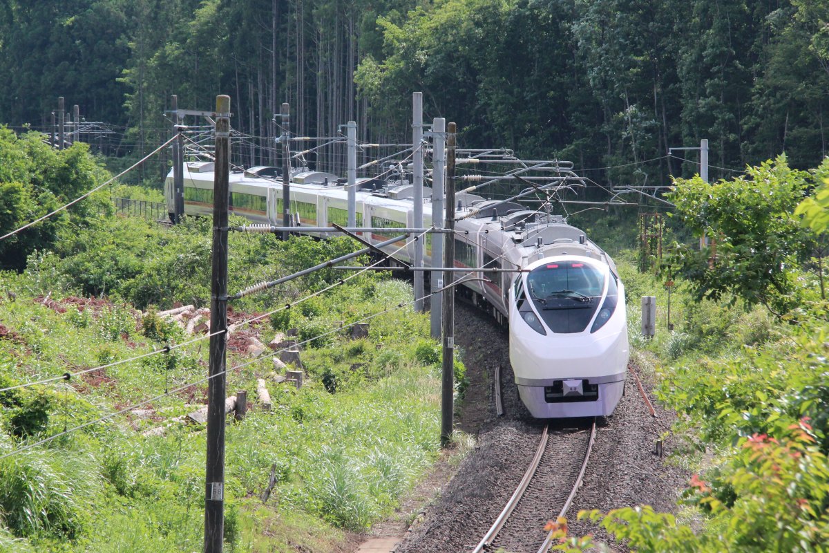 E491系検測車 KY入場？ E657系KY出場！ : 鉄道･･と にゃんこ･･･と