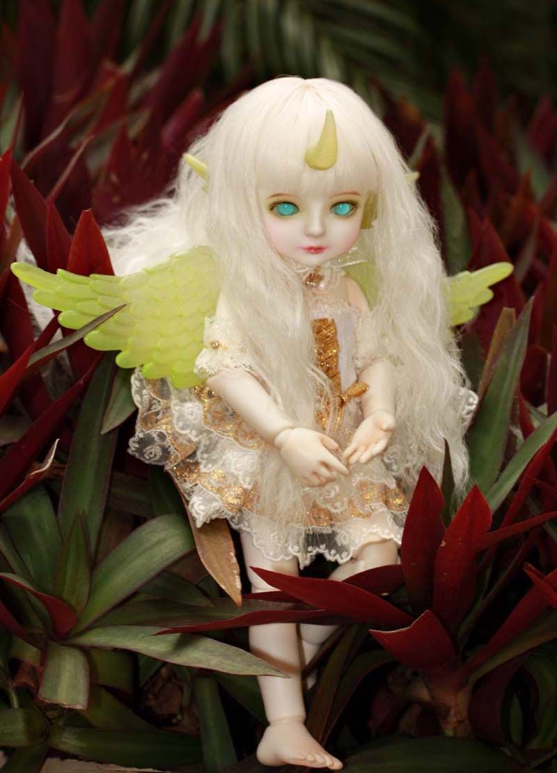 Aidolls 旧CUSTOM HOUSE : 147cm ＊いちよんなな＊