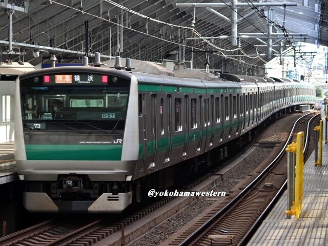 相鉄雑記2022.11-2(埼京線E233系が横浜までやって来た) : 横浜西部急行の備忘録2(きまぐれ鉄道日記帳N)