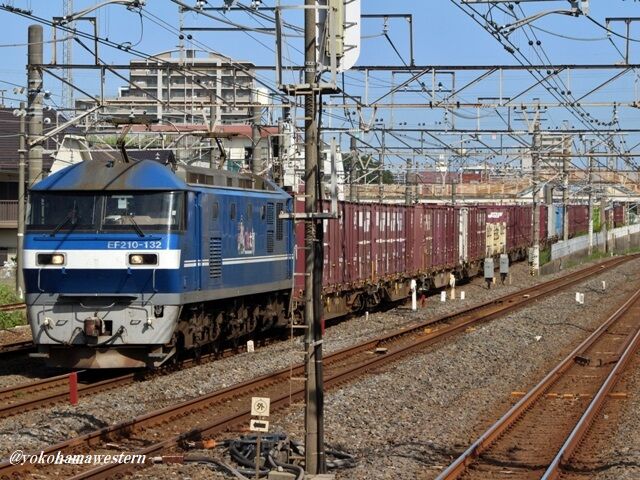 蘇る｢カラフルひたち｣撮影記(その2) : 横浜西部急行の備忘録2(きまぐれ鉄道日記帳N)