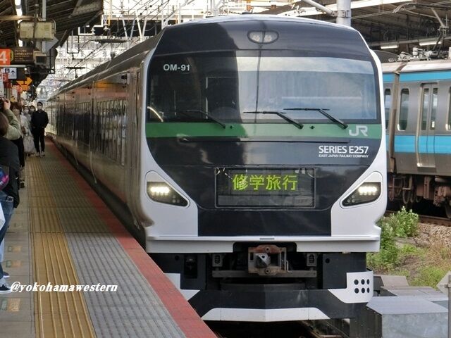 受け継がれるグリーン･ライン(E257系5000番台に出会うの巻) : 横浜西部急行の備忘録2(きまぐれ鉄道日記帳N)