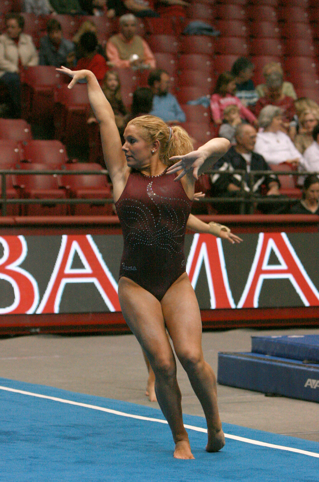 スポーツ女子の熱量 : 体操競技・新体操