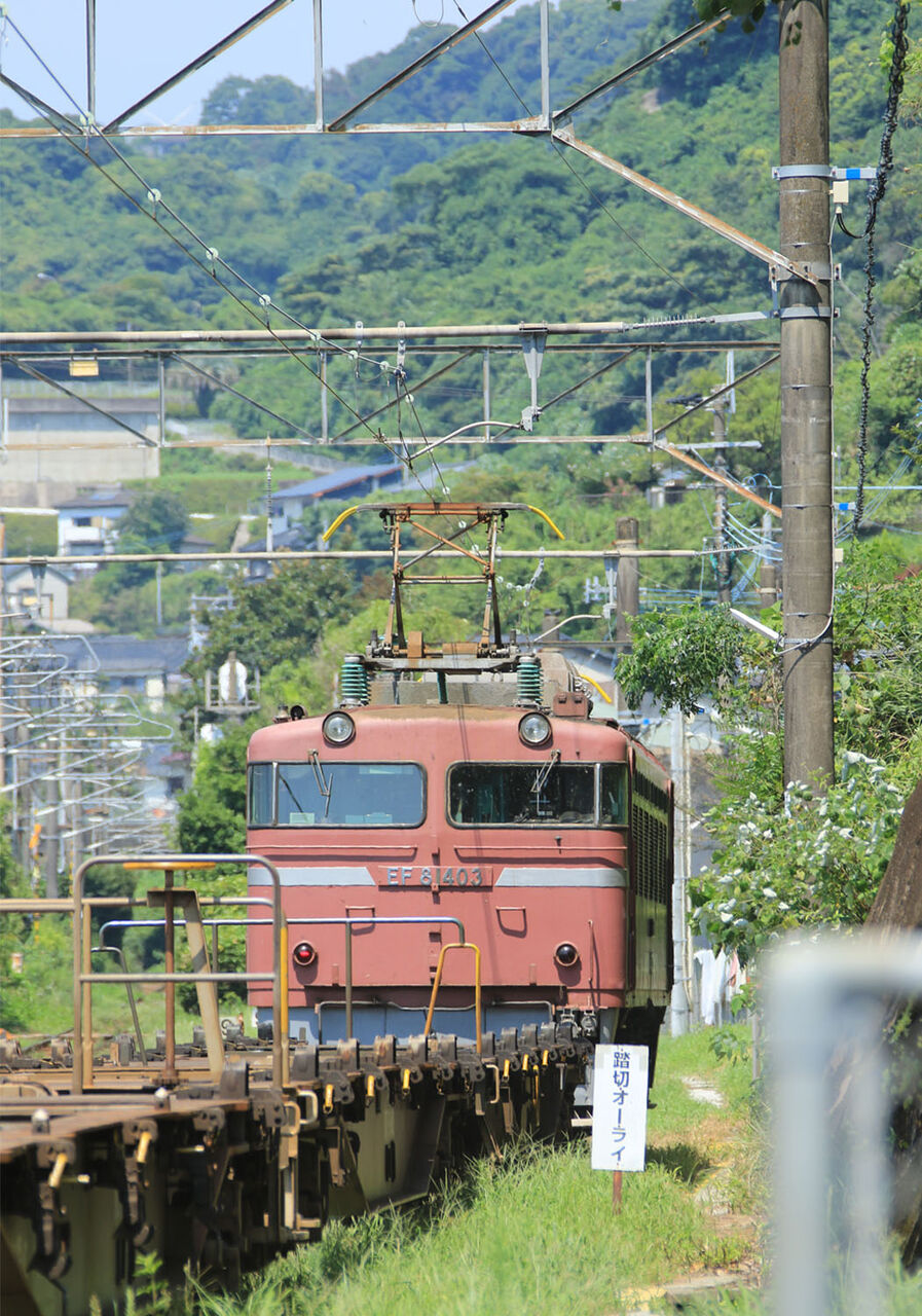 EF81 403 : 鴨池港すぐ