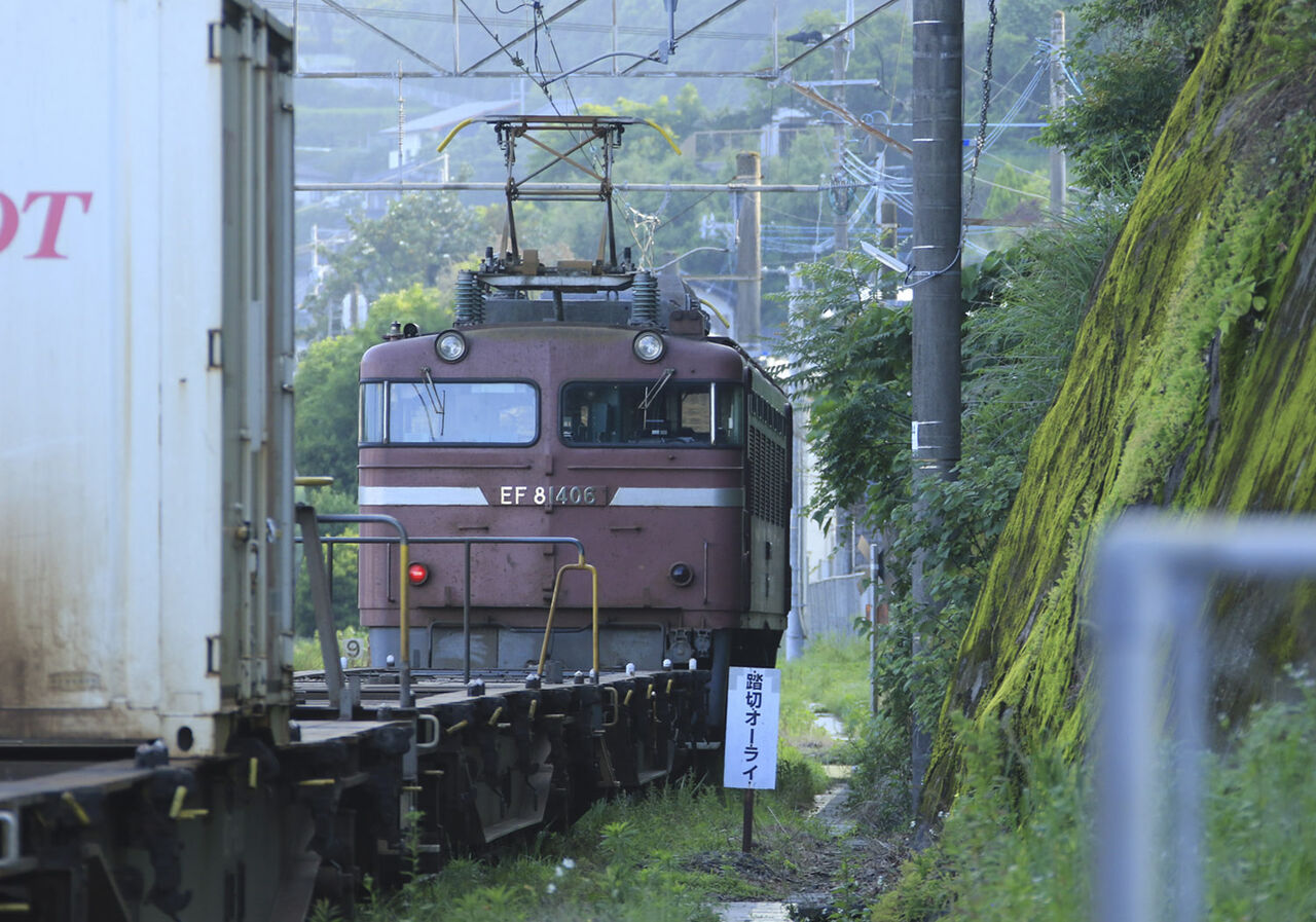 鹿児島に到着したEF81 406 : 鴨池港すぐ