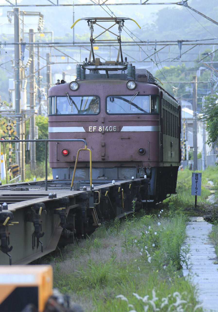 鹿児島に到着したEF81 406 : 鴨池港すぐ