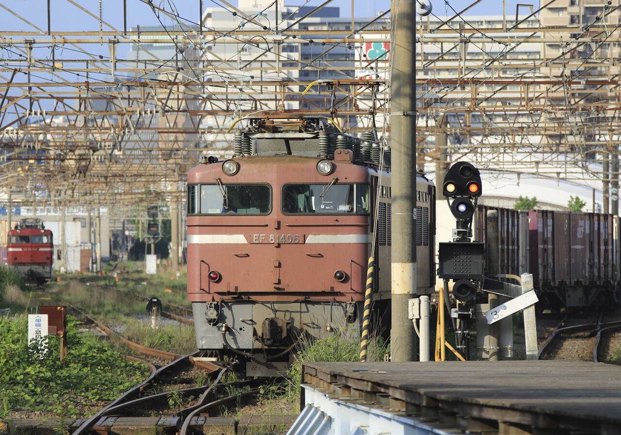 鹿児島に到着したEF81 406 : 鴨池港すぐ