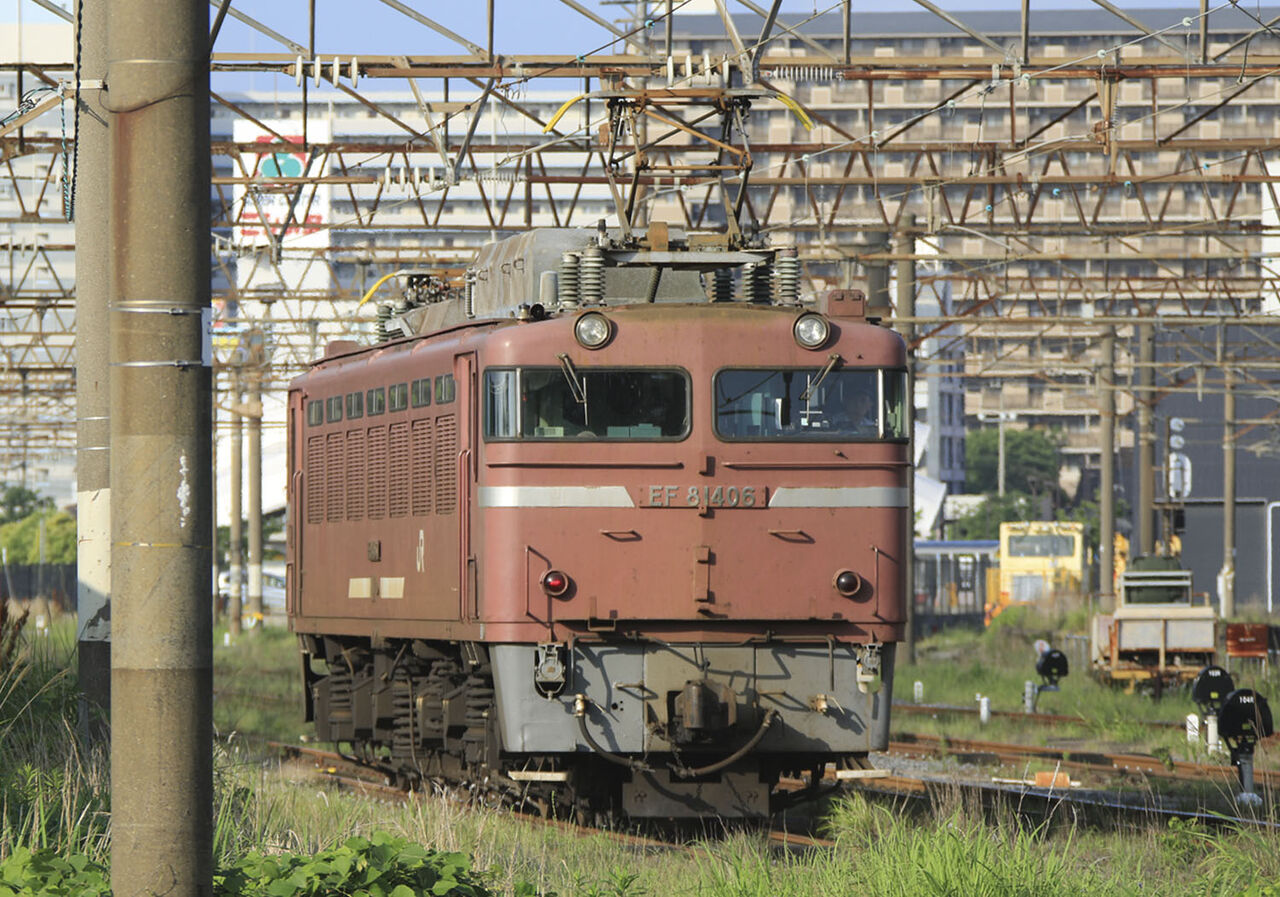 鹿児島に到着したEF81 406 : 鴨池港すぐ