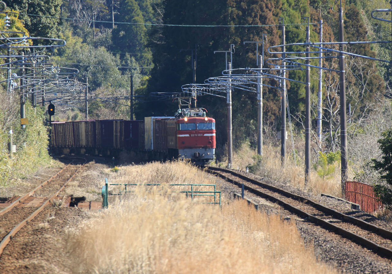 寺脇踏切を通過する ED76 1015 : 鴨池港すぐ