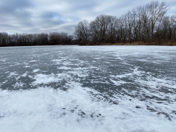 JC King's Tortas : Patty's Placeのほほん日記
