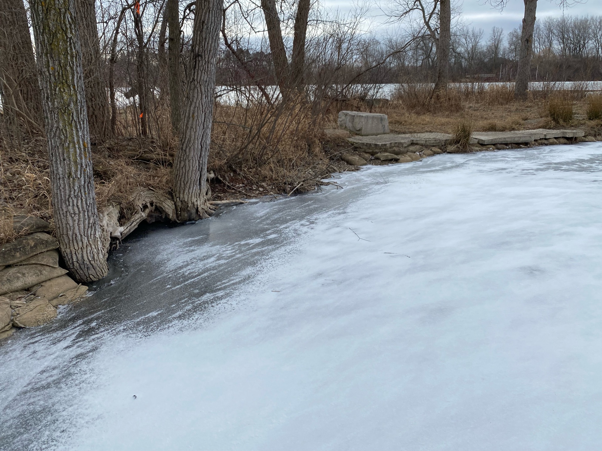 JC King's Tortas : Patty's Placeのほほん日記