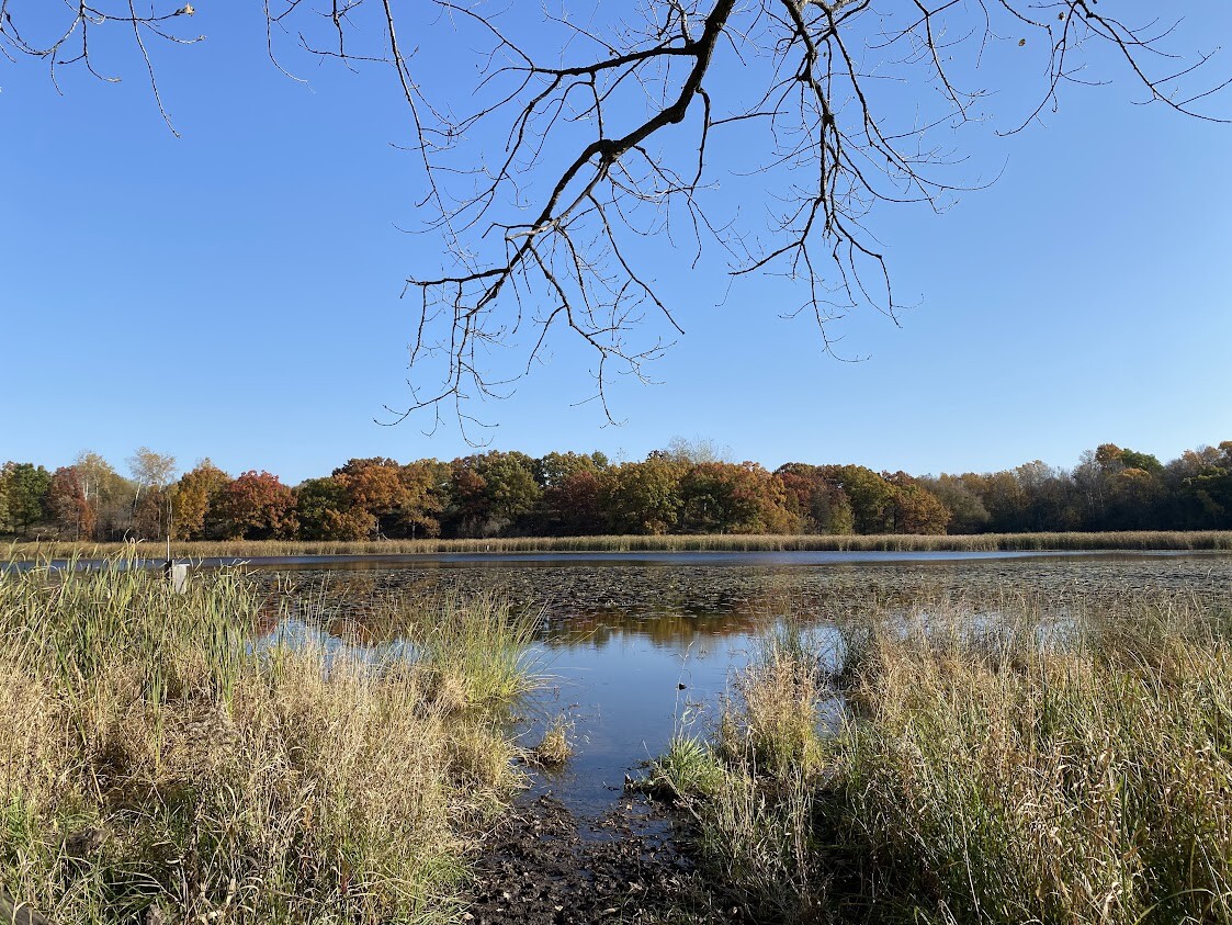 NashotahとLoew Lake Unitで紅葉狩り : Patty's Placeのほほん日記