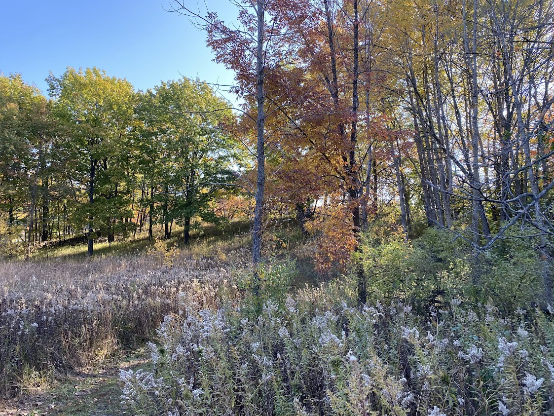 NashotahとLoew Lake Unitで紅葉狩り : Patty's Placeのほほん日記