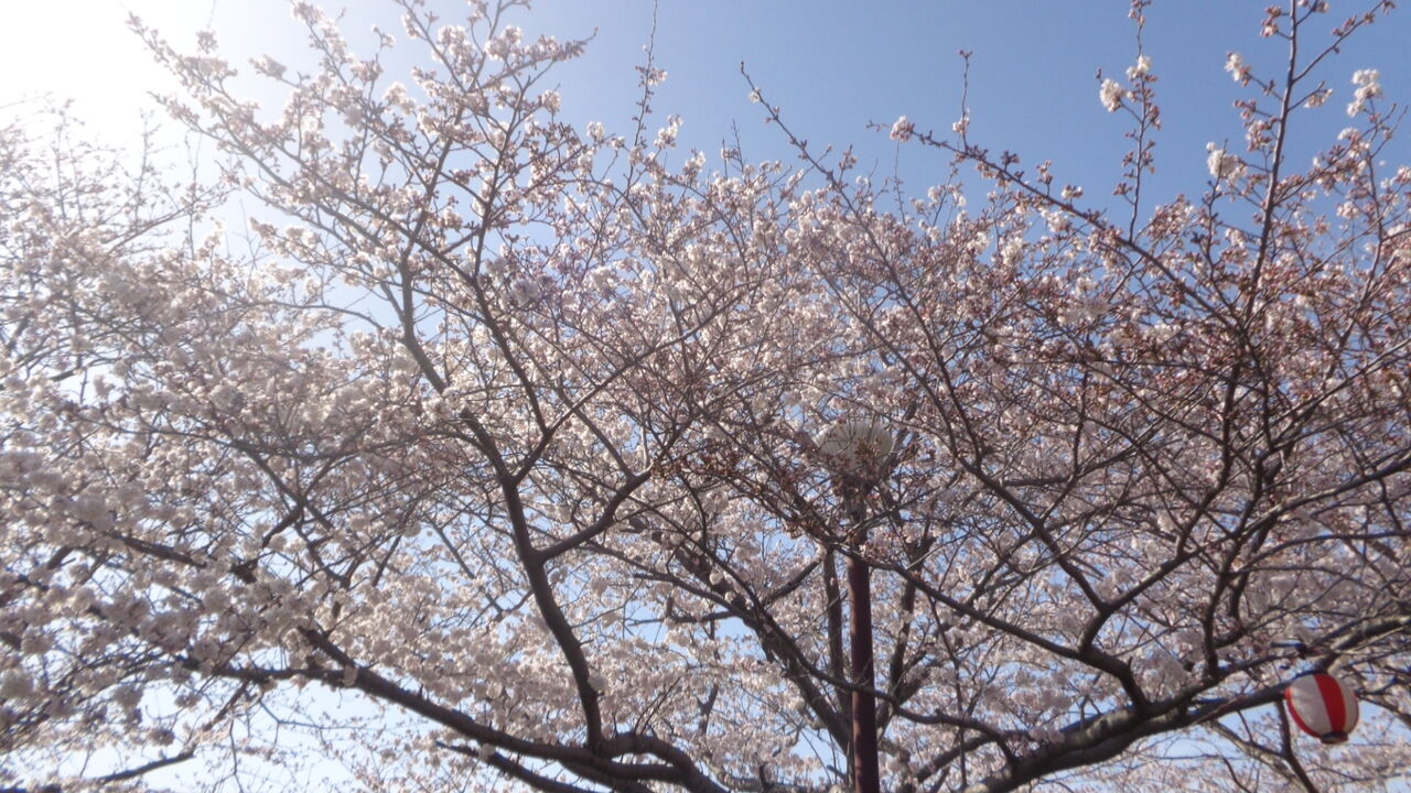 良し！地元のイベントへレッツラGO！！ : 趣味とマイペース日常